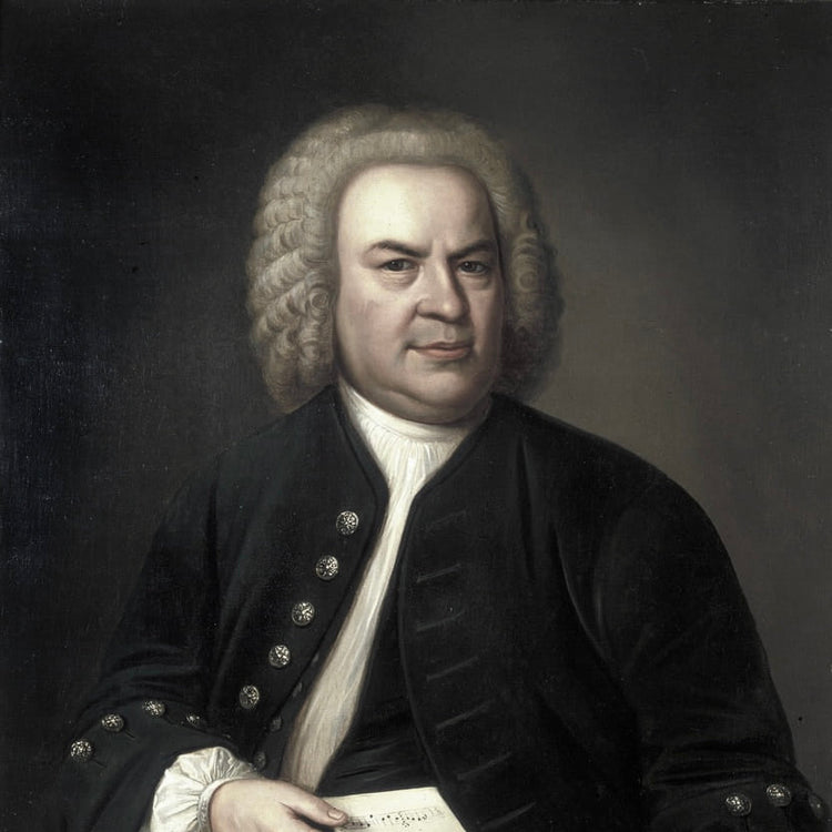 Collections – Mondschein Studio